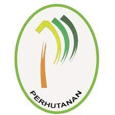 Let's Plant A Tree | Join forces with us in Saving Our Earth